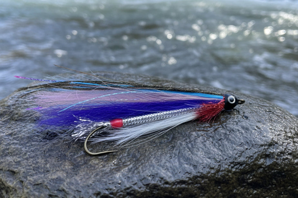 Rainbow Smelt Streamer - Deadly for big trout and salmon – Dc Tackle ...