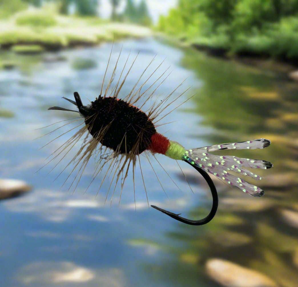 Salmon Bug - Shady Lady – Dc Tackle & Outdoor Supply